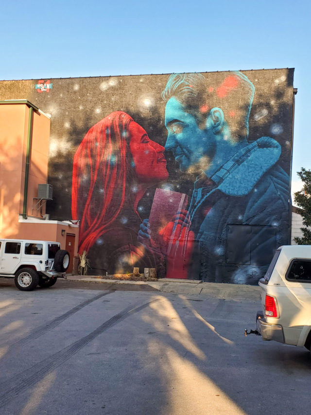Four Great Places for Murals in Gainesville, FL - Buckle Up Buttercup